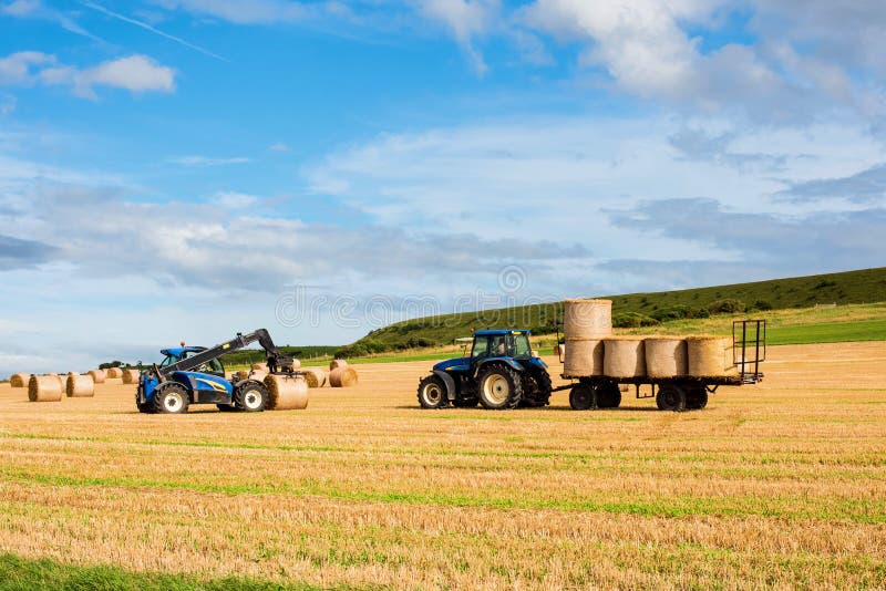 Tractor Equipped with a Telescopic Fork Picking Up Straw Bales in the ...