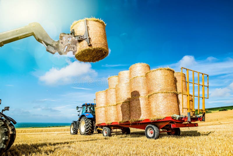 Tractor Equipped with a Trailer To Transport the Straw Stacks Stock ...