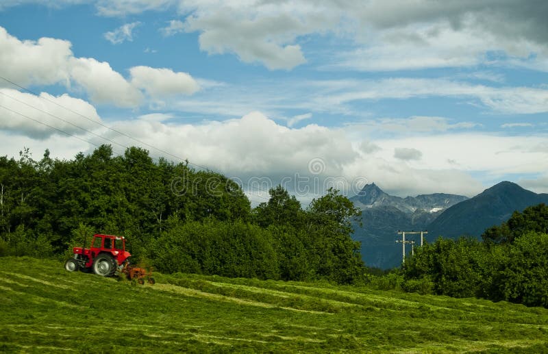 Tractor on Farm in Countryside Stock Image - Image of landscape ...