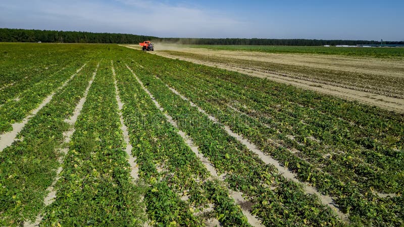 Tractor in a Farmer Field Top View Stock Image - Image of farmer ...