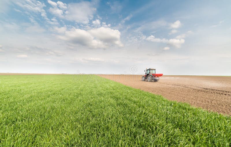 Tractor Fertilizing in Field Stock Photo - Image of spring, wheat: 68984348