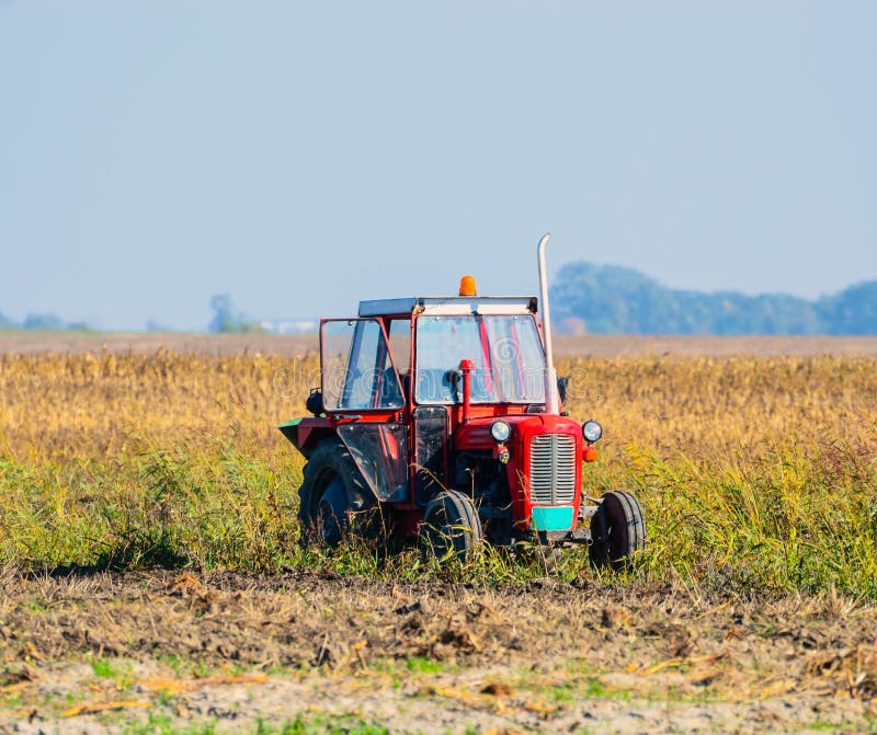 Tractor in field stock photo. Image of food, bulb, soil - 151749978