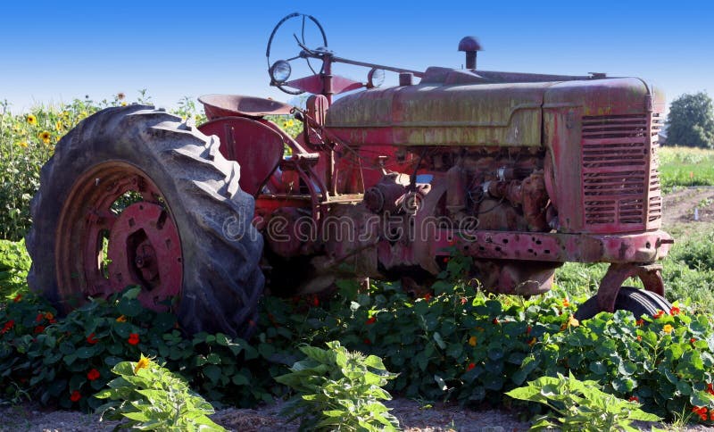Tractor in field stock photo. Image of tractor, plants - 199164