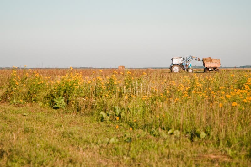 Tractor on field stock image. Image of grow, heavy, landscape - 22157169