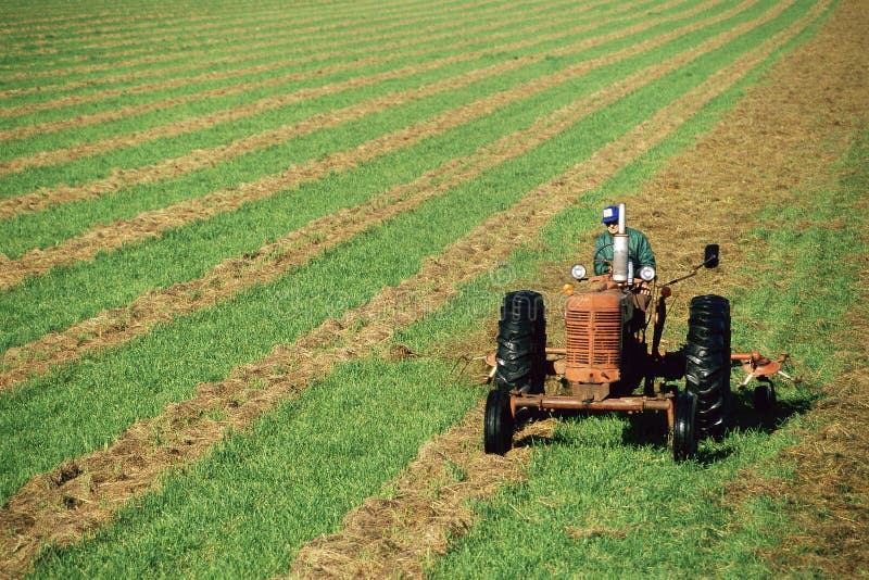 Tractor on field editorial stock image. Image of person - 23161129