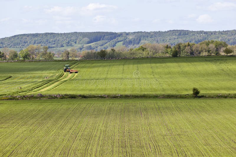 Tractor on the field stock photo. Image of country, tractor - 23993554