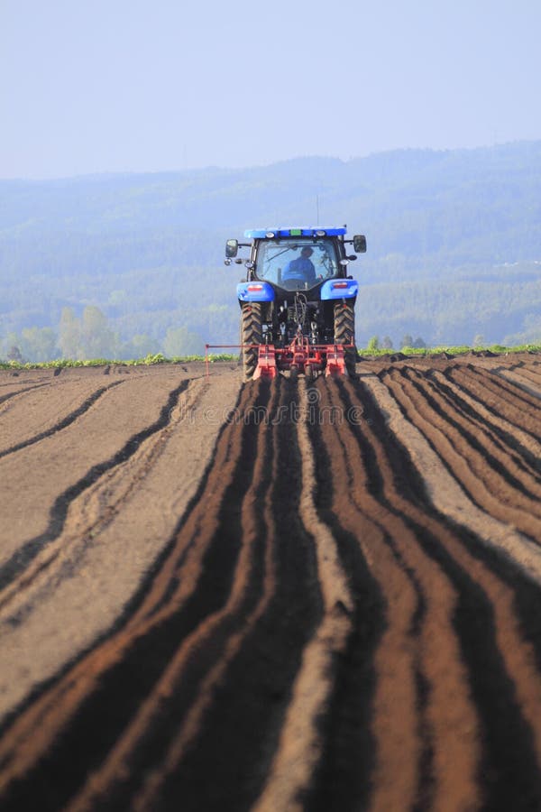 Tractor in a field stock photo. Image of farm, town, tractor - 25696706