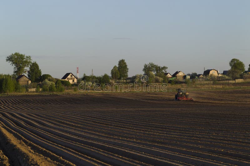 The Tractor in the Field on Agricultural Operations Stock Photo - Image ...