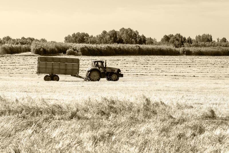 Tractor in the Field for Agricultural Work. Stock Image - Image of ...
