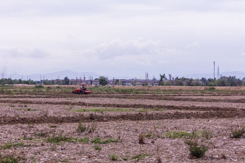 Tractor in Rice Field, Mechanism Farmer Rice Cultivation Stock Image ...