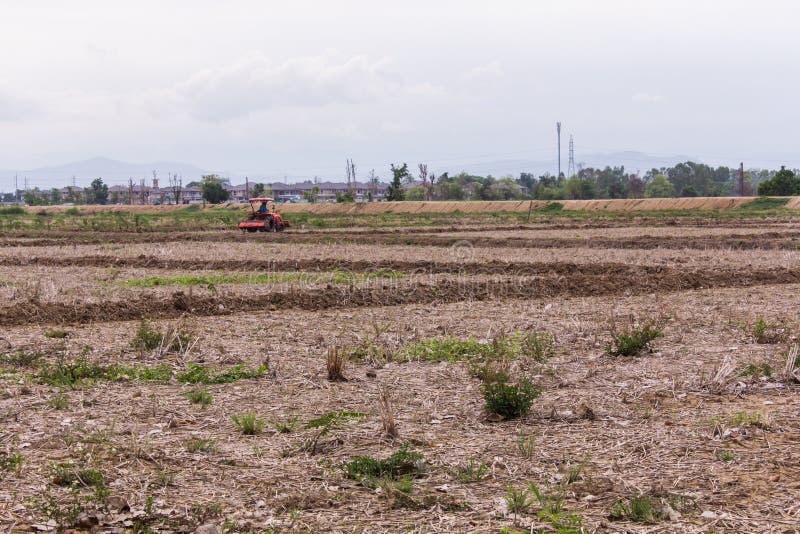 Tractor in Rice Field, Mechanism Farmer Rice Cultivation Stock Image ...