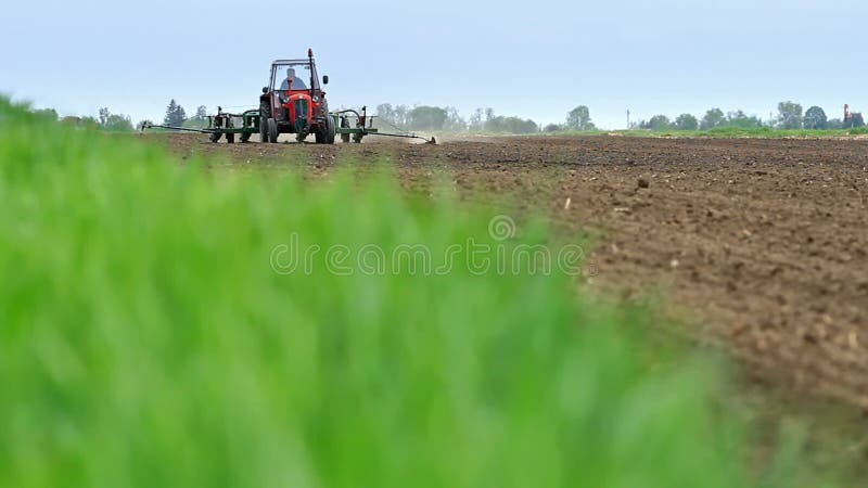 Tractor in a Field of Corn Sowing Stock Video - Video of machine ...