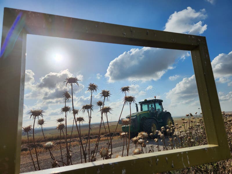 Tractor in a Field with Dry Thistles in Front of a Metal Frame Stock ...