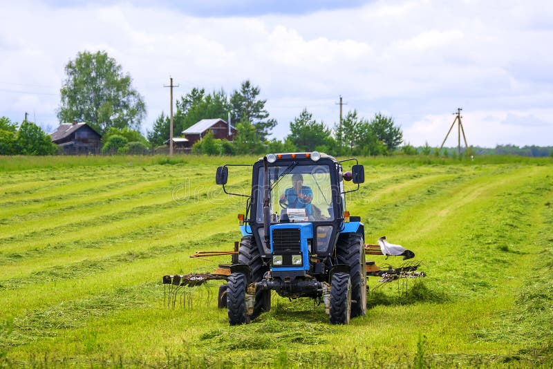 Tractor on the Field. Hay Making Editorial Stock Image - Image of ...