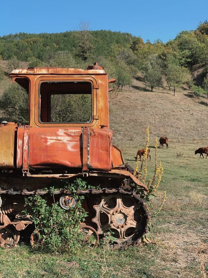 Tractor in the Field in the Mountains Stock Photo - Image of farmland ...