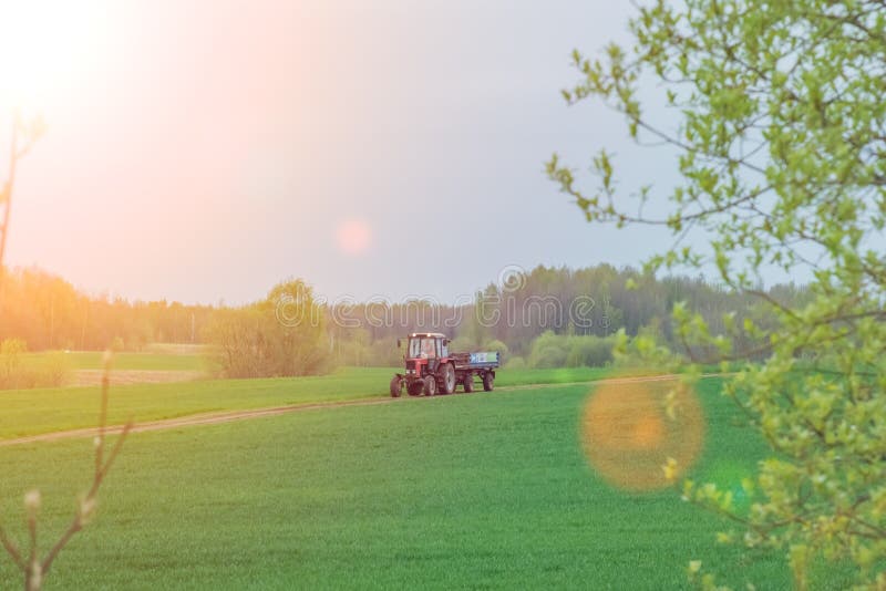 Tractor in the Field, Tractor Rides on a Field Road, Field, Road ...