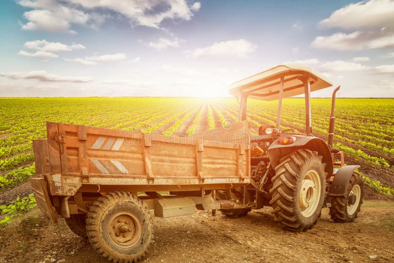 Tractor on the Field To Gather Crops Stock Photo - Image of cultivation ...