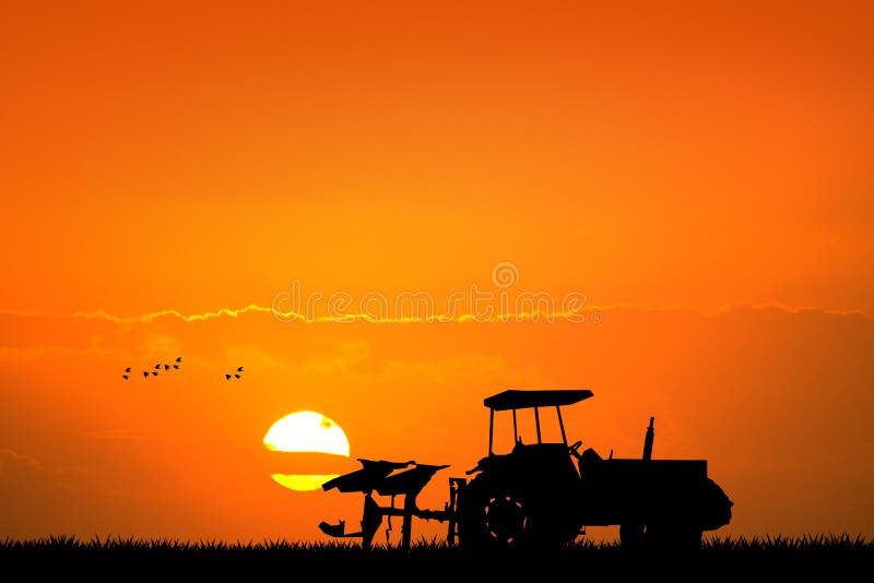 Tractor in the Fields at Sunset Stock Illustration - Illustration of ...
