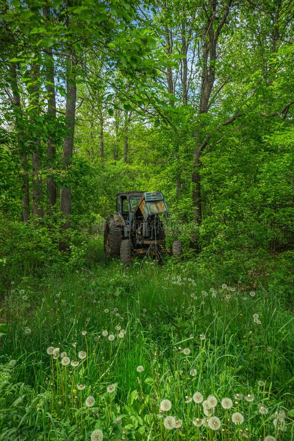 Tractor in the Forest in a Clearing Stock Photo - Image of earth, road ...