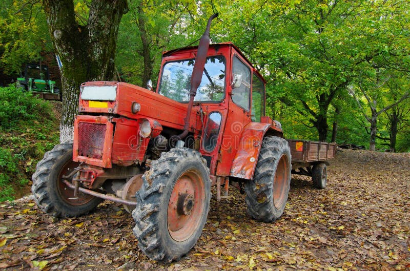 Forestry Tractor TAF in the Forest Stock Image - Image of forest ...
