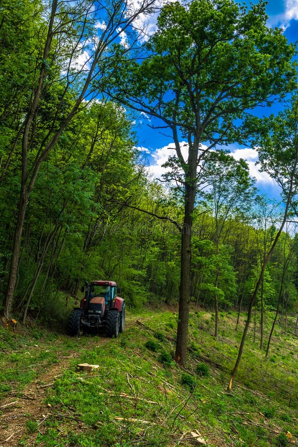 Tractor for Forestry Work on Narrow Path Beneath Trees Stock Image ...