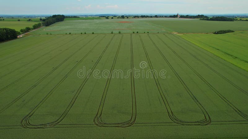Tractor Fresh Trace on the Field, Above View from Drone. Wheat of ...