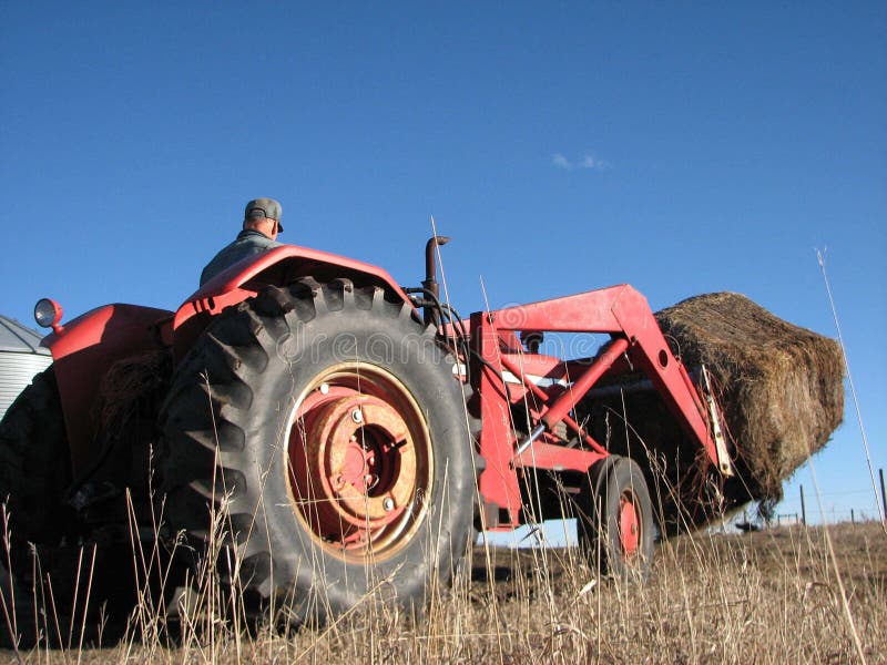 Front end loader stock photo. Image of construction, dump - 2568014