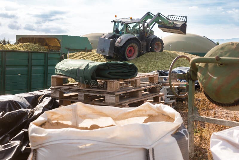 Harvesting of silage stock image. Image of preparation - 239185021