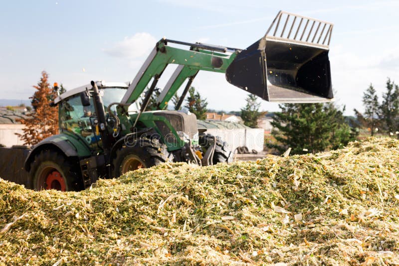 329 Cattle Silage Storage Stock Photos - Free & Royalty-Free Stock ...