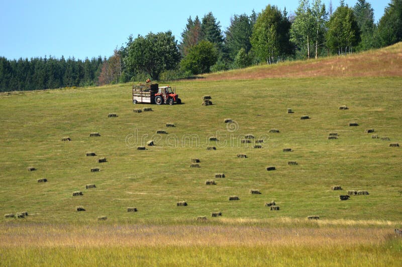 Tractor is Gathering Hay on the Slope Stock Image - Image of hill ...