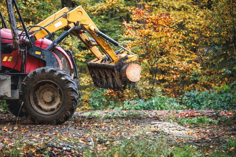 Tractor with Grapple in Forest. Lumber Industry Stock Photo - Image of ...