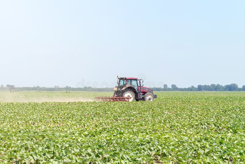 Tractor in the Green Field. Agriculture Machine Stock Image - Image of ...