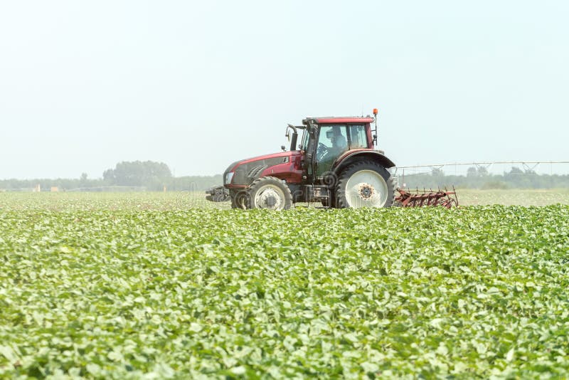 Tractor in the Green Field. Agriculture Machine Stock Photo - Image of ...