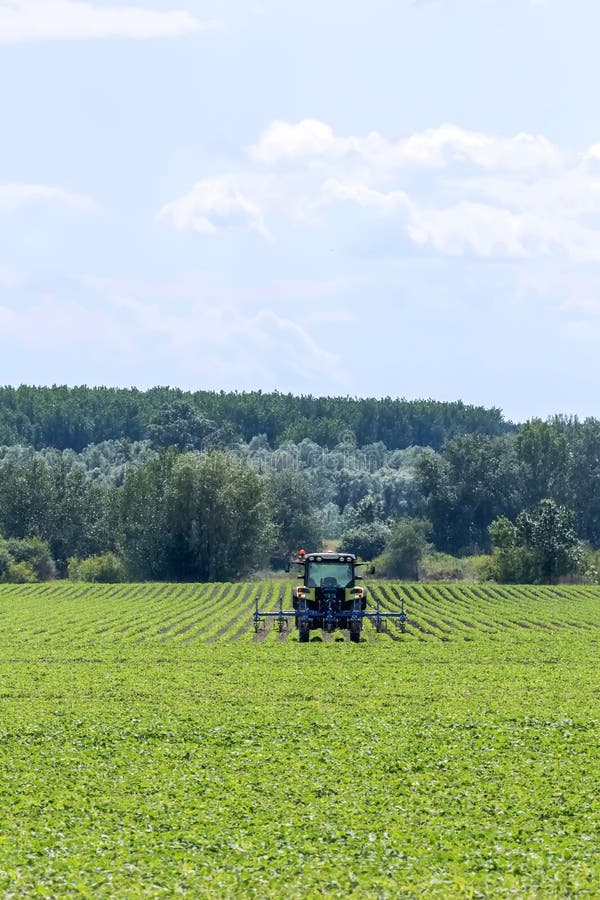 Tractor in the Green Field, Agriculture Machine Stock Photo - Image of ...