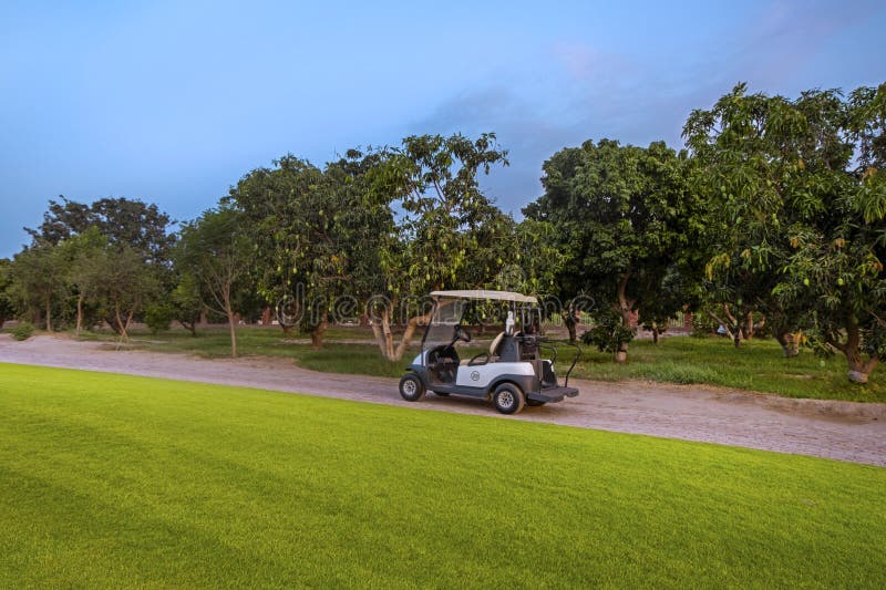 Tractor in the Green Field, Golf Course with Red Tractor and Mango ...