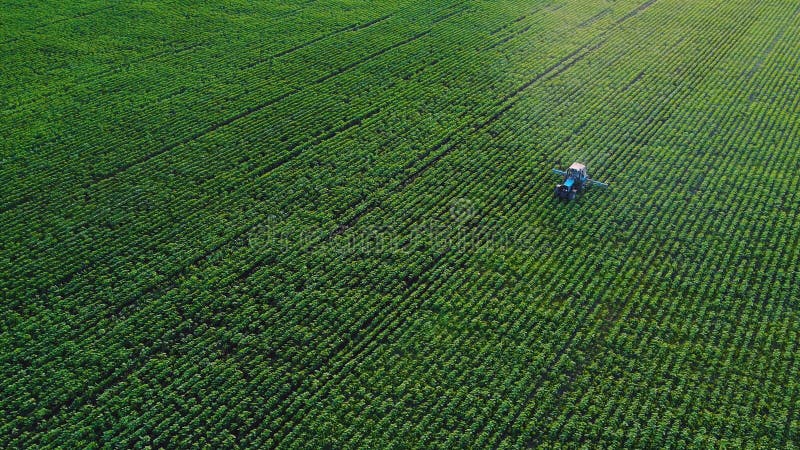Tractor in a Green Field at Sunset Stock Photo - Image of grassland ...