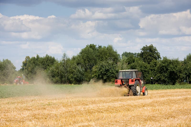 Tractor Harvesting Wheat Field Stock Image - Image of outdoor, power ...