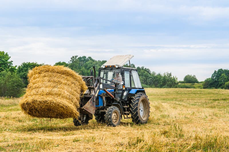 Farmers Cutting Hay with Tractors Editorial Stock Image - Image of ...