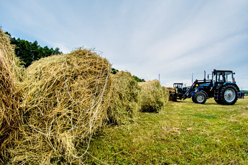 Tractor Hay Stacks in the Field. Toning Stock Image - Image of harvest ...