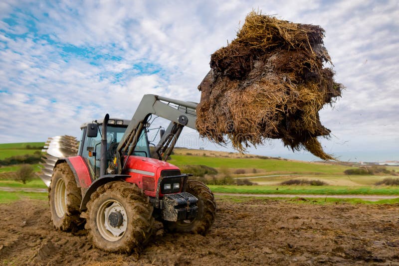 Tractor and Its Telescopic Fork Handling Manure for Spreading in the ...