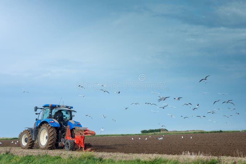 Farmer Plowing His Fields with a Plinth Plow Stock Photo - Image of ...