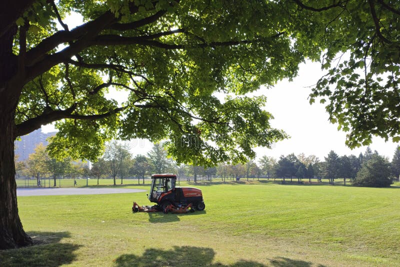 Tractor Lawn Mower Cutting the Grass in the Public Park Editorial Image ...