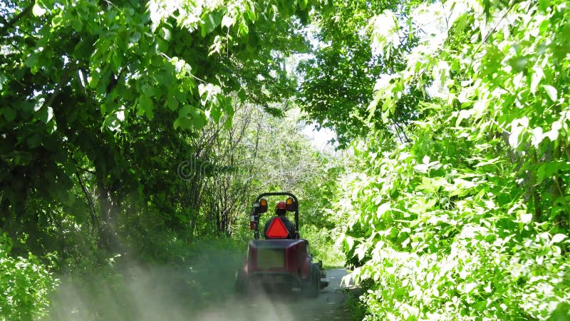 Tractor Lawn Mower on Forest Path Stock Footage - Video of plants ...