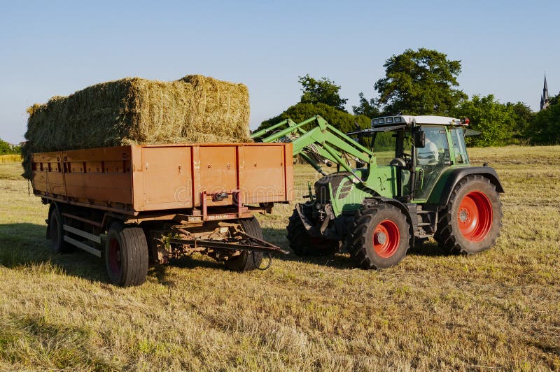 Tractor Loading Hay Bales on a Trailer Stock Image - Image of animal ...