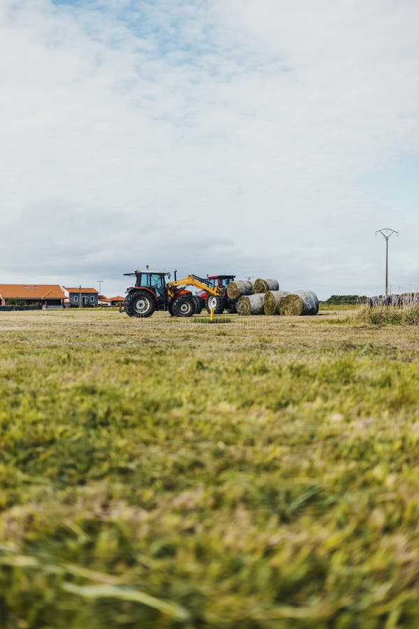 A Tractor Loading a Trailer during Harvesting Time Stock Image - Image ...