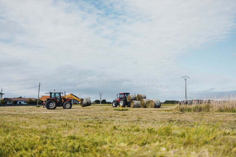 A Tractor Loading a Trailer during Harvesting Time Stock Photo - Image ...