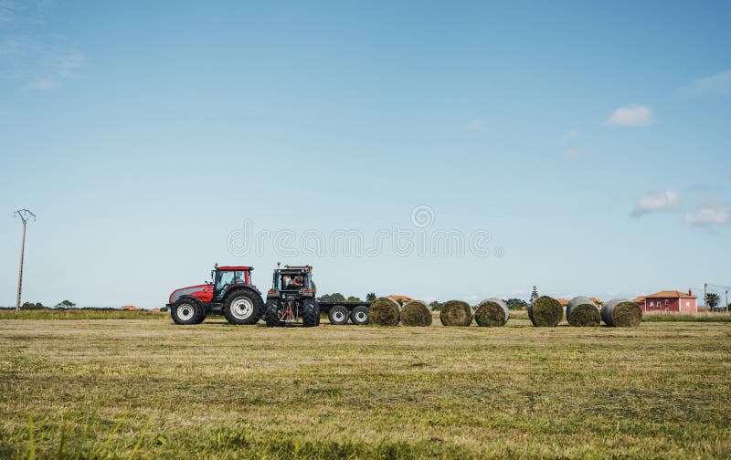 A Tractor Loading a Trailer during Harvesting Time Stock Image - Image ...