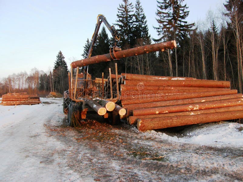 Tractor loading the wood stock image. Image of machinery - 47875605