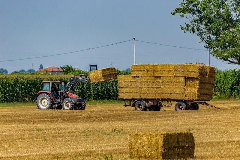 Tractor Loads Hay Bales on Trailer Stock Image - Image of bales ...
