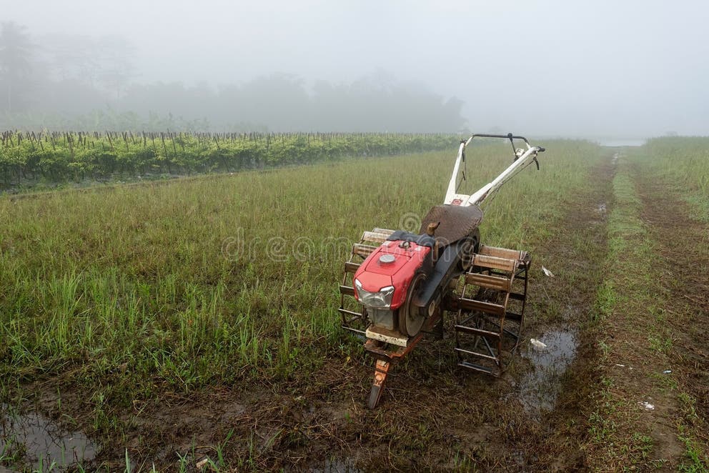 Tractor Machine on the Rice Fields Stock Image - Image of crop, plain ...